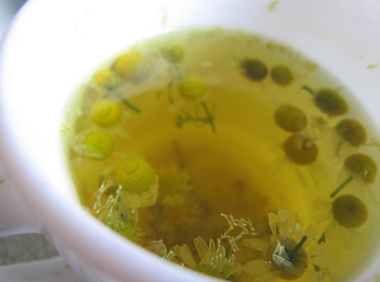 Napravite si čaj od kamilice